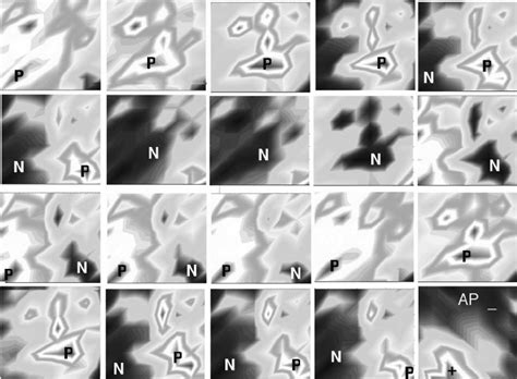Temporal Evolution Of The Spatial Distribution Of Amplitudes During The