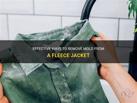 Effective Ways To Remove Mold From A Fleece Jacket ShunVogue