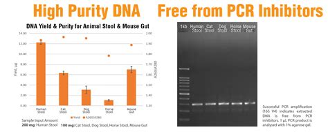 Primeway Stool Dna Extraction Kit 1st Base