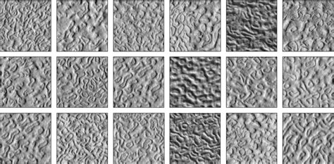 Mapping Brain Coral Regions On Mars Using Deep Learning