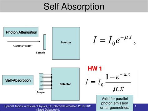 Absorption Physics