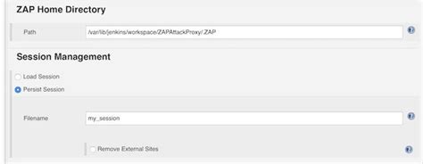 running zap attack proxy on jenkins softwaretester