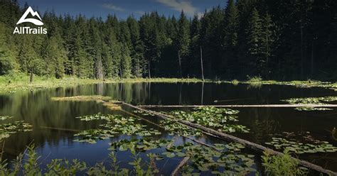 Best Trails In Larrabee State Park Washington Alltrails