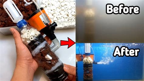 Homemade Aquarium Filter Systems At Eve Collie Blog
