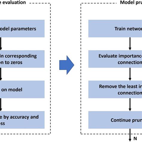 overview of pruning process for cell based model download scientific diagram