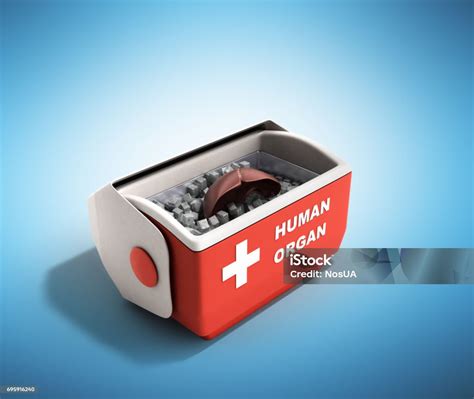 장기 수송 개념 오픈 인간 장기 냉장고 상자 레드 3d 렌더링 배경 냉장 박스에 대한 스톡 사진 및 기타 이미지 냉장 박스 수송 이식수술 Istock
