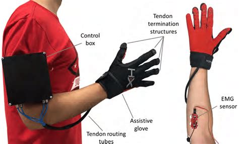 1 The Underactuated Tendon Driven Assistive Exoskeleton Glove Is Download Scientific Diagram
