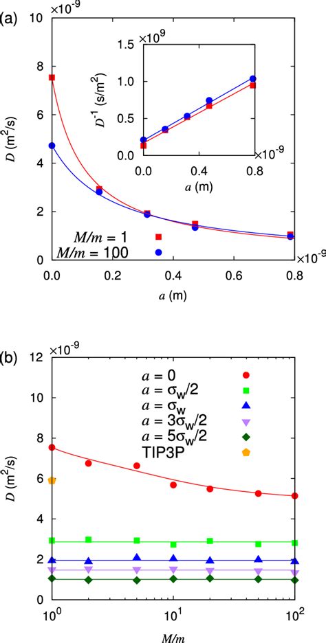 A Relationship Between Diffusion Coefficient And Particle Size When