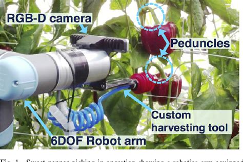 Figure 1 From Peduncle Detection Of Sweet Pepper For Autonomous Crop Harvesting—combined Color