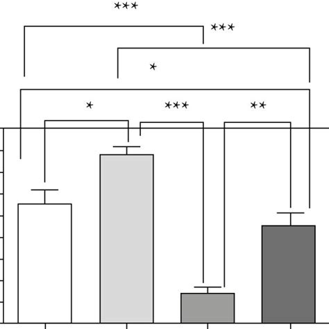 Schematic Representation Of The Novel Location Recognition Task