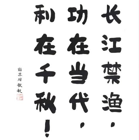 长江禁渔 功在当代 利在千秋 法润江苏
