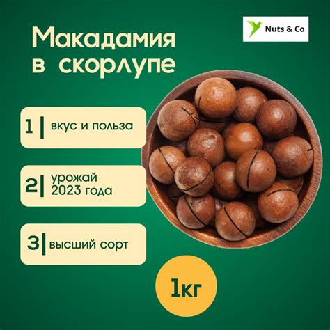 Макадамия в скорлупе 1 кг купить с доставкой по выгодным ценам в интернет магазине Ozon