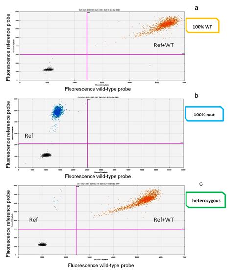 Two Dimensional 2d Plot Drop Off Ddpcr In The 2d Plot Samples With Download Scientific