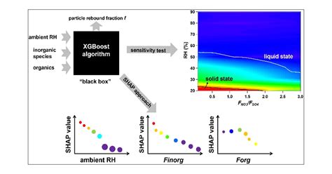 Predicting Atmospheric Particle Phase State Using An Explainable