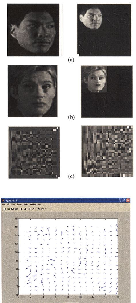 Figure 3 From Multi Technique Face Recognition Using Pcaica With