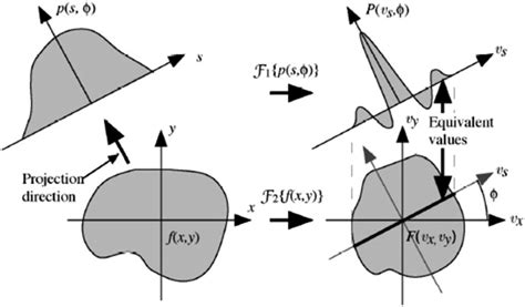 7 Central Section Theorem F F X Y Is The Two Dimensional Download Scientific Diagram