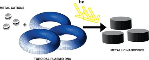 Fabrication Of Metal Nanoparticles Using Toroidal Plasmid Dna As A