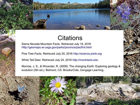 Field Assignment Pdf Field Assignment Pdf