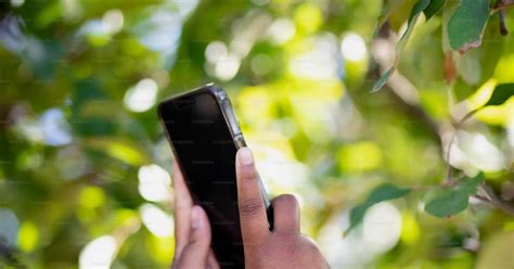 나무에 휴대폰을 들고 있는 사람 사진 Unsplash의 홀딩 폰 이미지