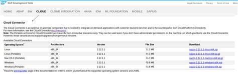 SAP Cloud Connector Installation Process ABusiness Tech