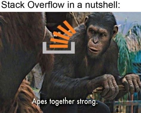 Sardor Abdurakhimov On Linkedin Meme