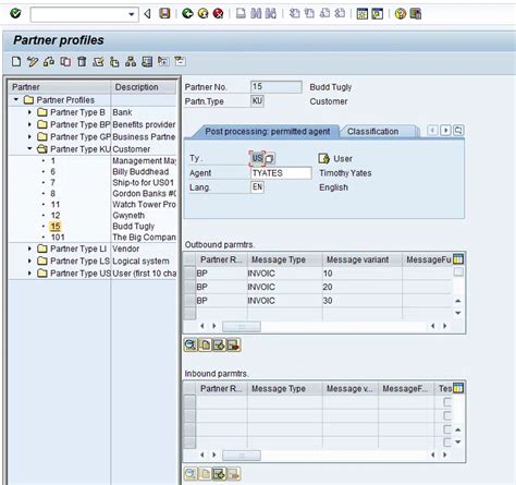 SAP IDOCs For Customer Number With Different Sales Organizations