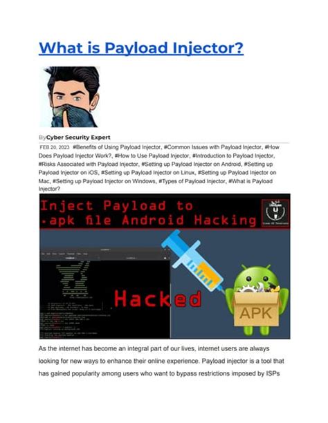 What Is Payload Injectorpdf