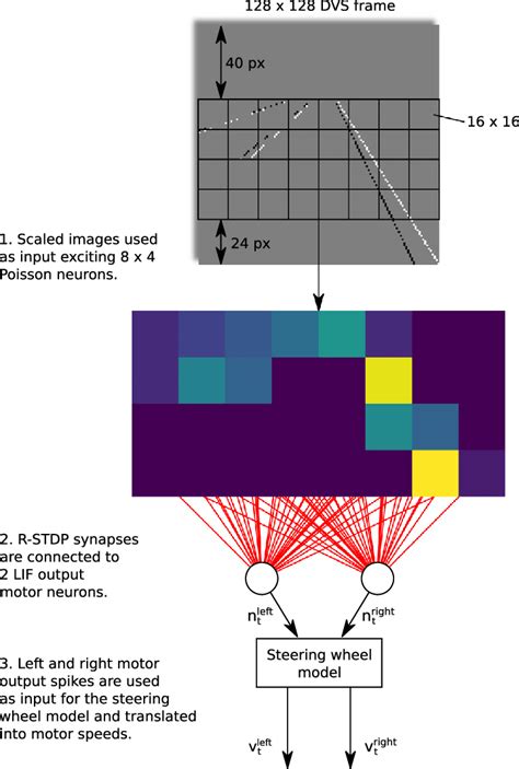 network architecture of the r stdp implementation using dvs frames as
