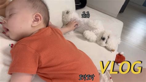 육아 Vlog 엄마의 일상을 곁들인 애개육아👶🏻🐶 Youtube