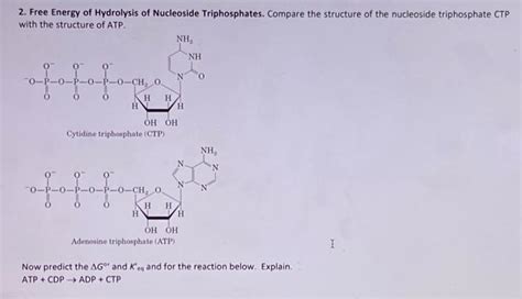 Solved 2 Free Energy Of Hydrolysis Of Nucleoside