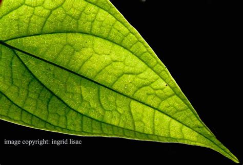 Research Keenan Group