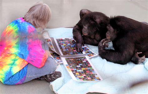 Research Highlights Key Differences Between Human And Non Human Primate Brains Scinews