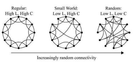 3 Small World Connectivity Features Download Scientific Diagram