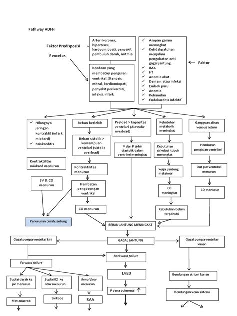 Pathway Adhf Pdf