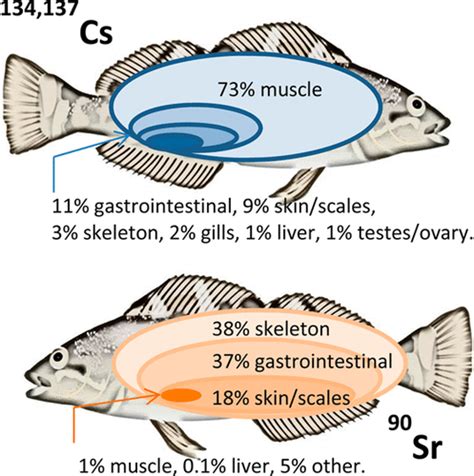 Radiation Mutation Fish