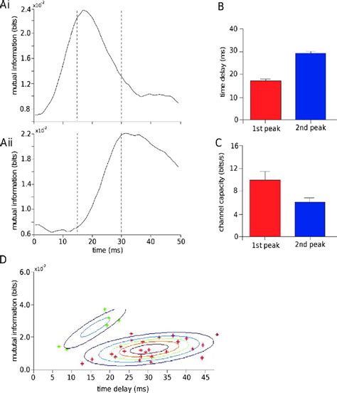 Analysis Of Spiking Local Interneurons A Examples Of Delayed Mutual Download Scientific