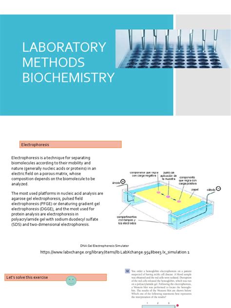 Laboratory Methods Biochemistry Pdf Gel Electrophoresis Elisa