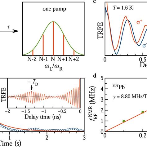 Hole Nuclei Hyperfine Interaction A Schematic Representation Of The Download Scientific Diagram