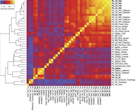 Overview Of Plasmodium Transcriptome Analyses Hierarchical Clustering