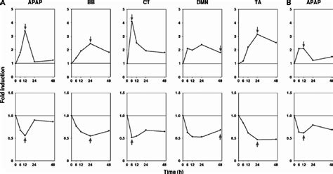 Qt Clustering Analysis Of Hepatic Gene Expression In Rats Administered Download Scientific