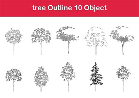 Tree Line Drawing Side View Graphics Trees Elements Single Object Outline Minimal Plant Symbol