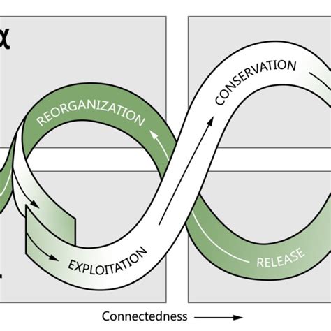The Adaptive Cycle And Panarchy Download Scientific Diagram