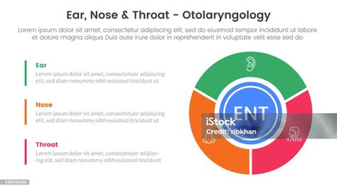 이비인후과 건강 치료 질병 인포 그래픽 슬라이드 프리젠 테이션을 위해 오른쪽 열에 큰 원 원형 차트가있는 3 포인트 단계 템플릿 인포그래픽에 대한 스톡 벡터 아트 및 기타
