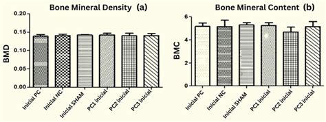 Total Bone Mineral Density G Cm 2 A And Bone Mineral Content G Download Scientific