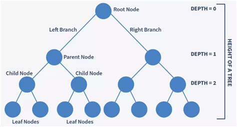 树：数据结构中的二叉树 Csdn博客