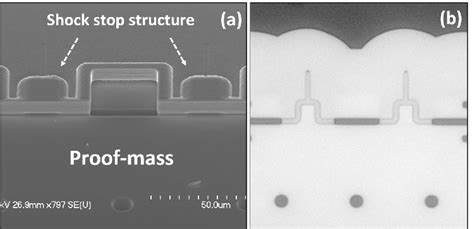 SEM Microphotograph Of Fabricated MEMS Accelerometer Download Scientific Diagram