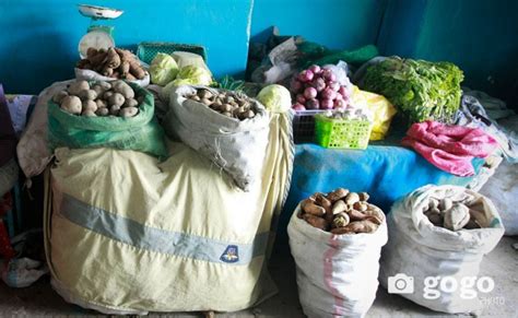 Долоон байршилд 8 5 мянган тонн хүнсний ногооны агуулах барина