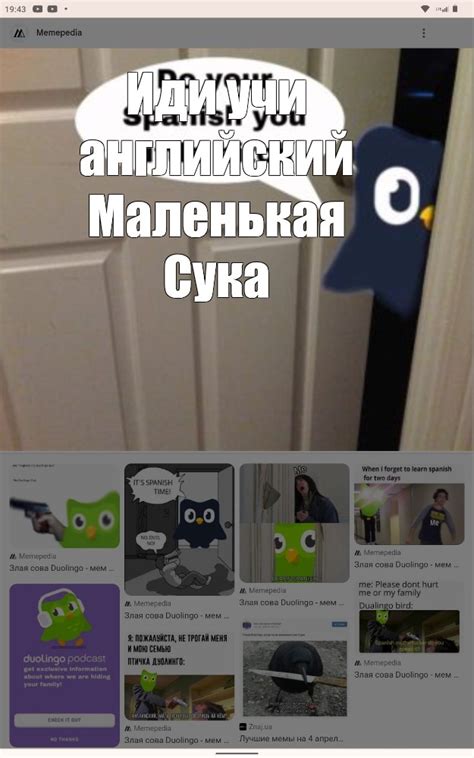 Создать мем дуолинго сова убийца дуолинго мем Duolingo мем Картинки Meme