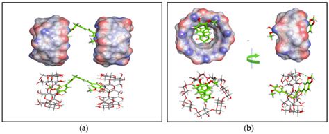 Evaluation And Characterization Of Curcumin β Cyclodextrin And Cyclodextrin Based Nanosponge