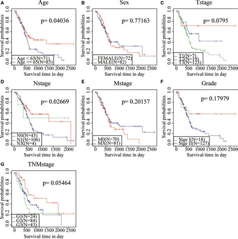 Prognostic Analysis Of Clinical Characteristics And Risk Models A Km